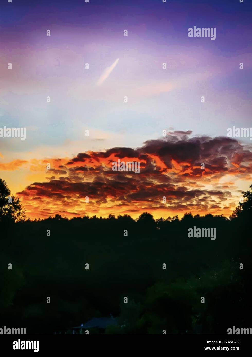 Red sky with trees hi-res stock photography and images - Alamy