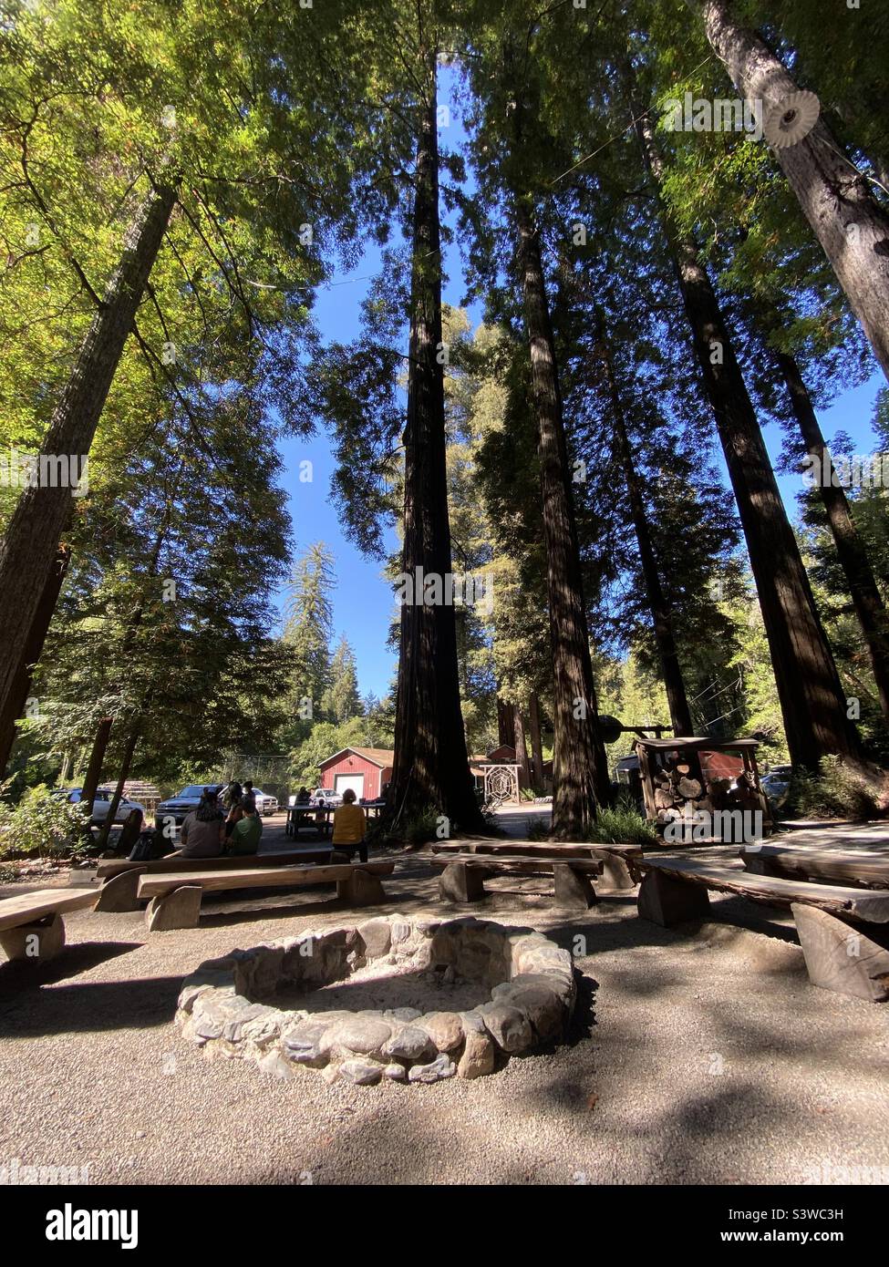 A fire pit surrounded by benches and redwood trees at a campsite in ...