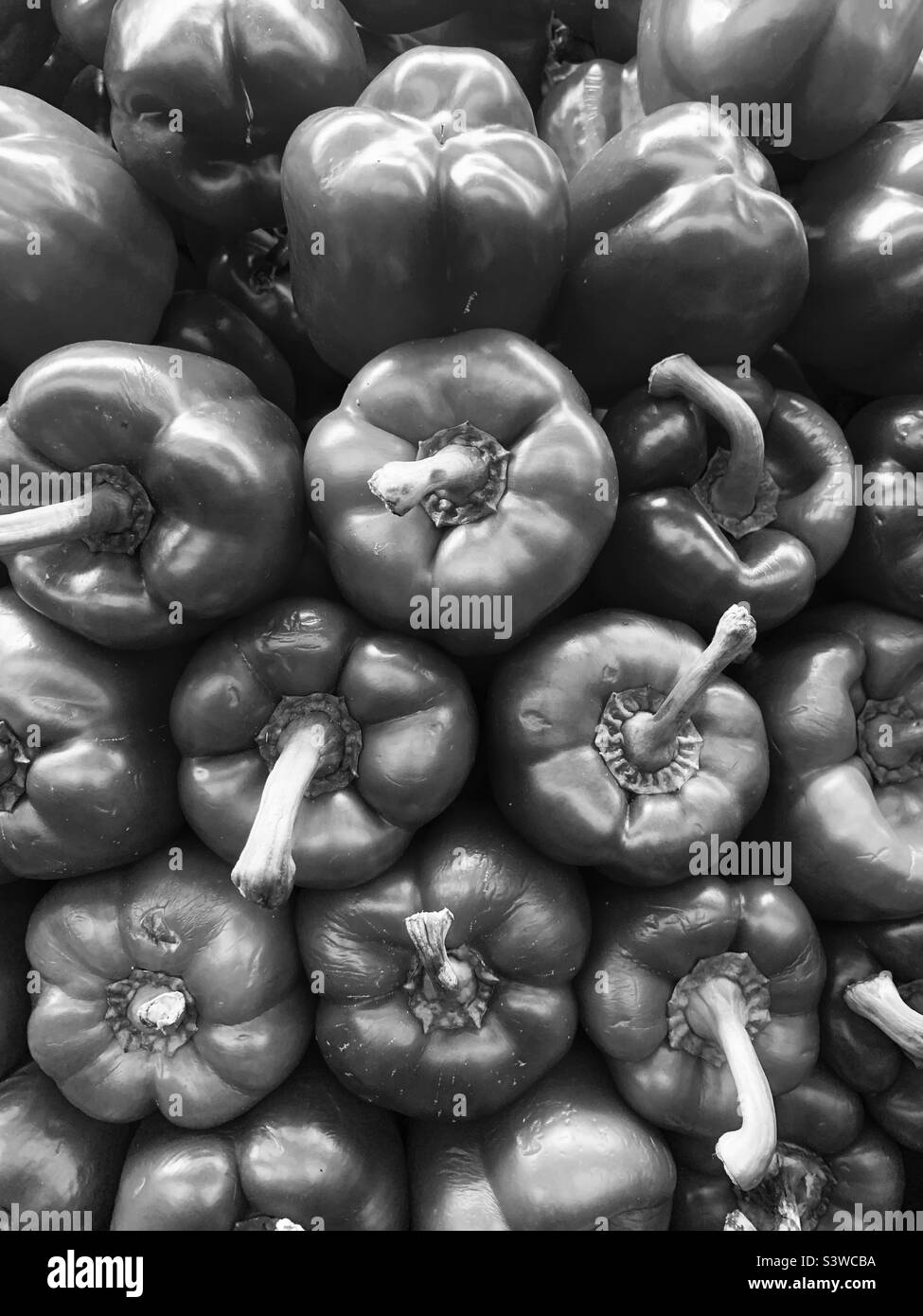 Beautiful fresh bell peppers piled high in the produce section in black ...