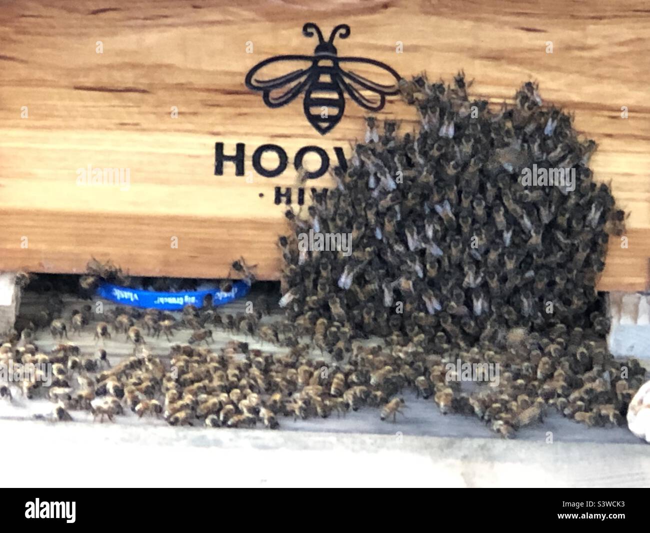 Hoover hive hi-res stock photography and images - Alamy