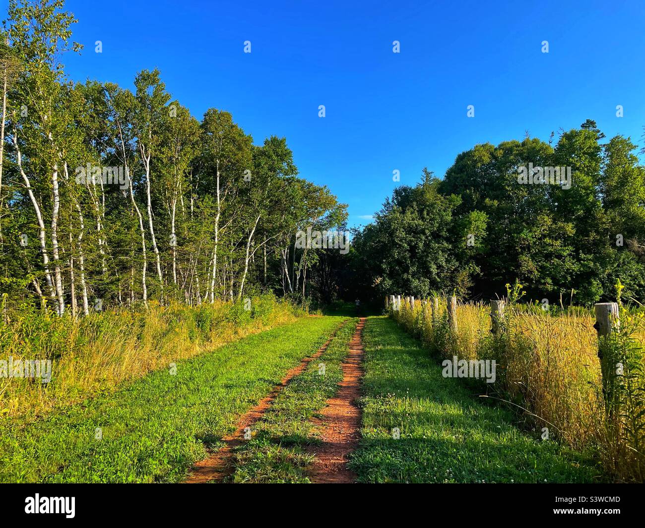 Dirt track through the countryside Stock Photo - Alamy