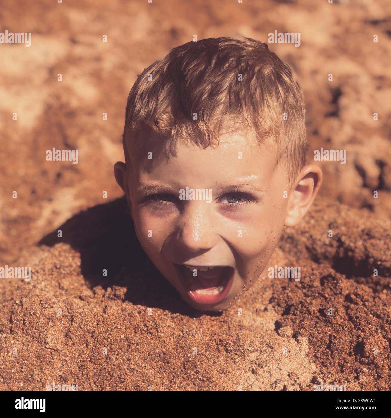Five year old boy buried in the sand,Hope Cove, Devon, England, United ...