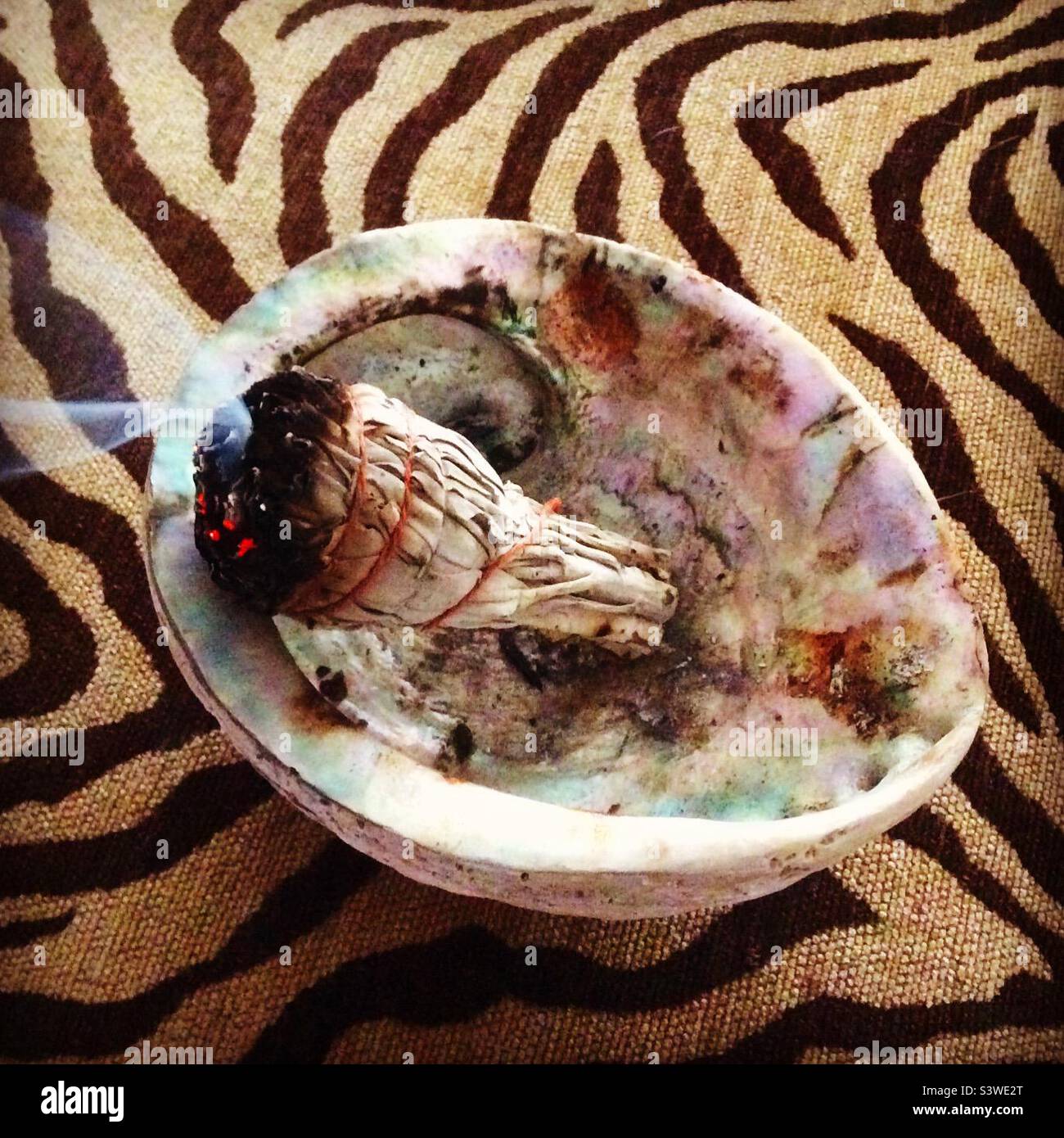 A stick and a shell hi-res stock photography and images - Alamy