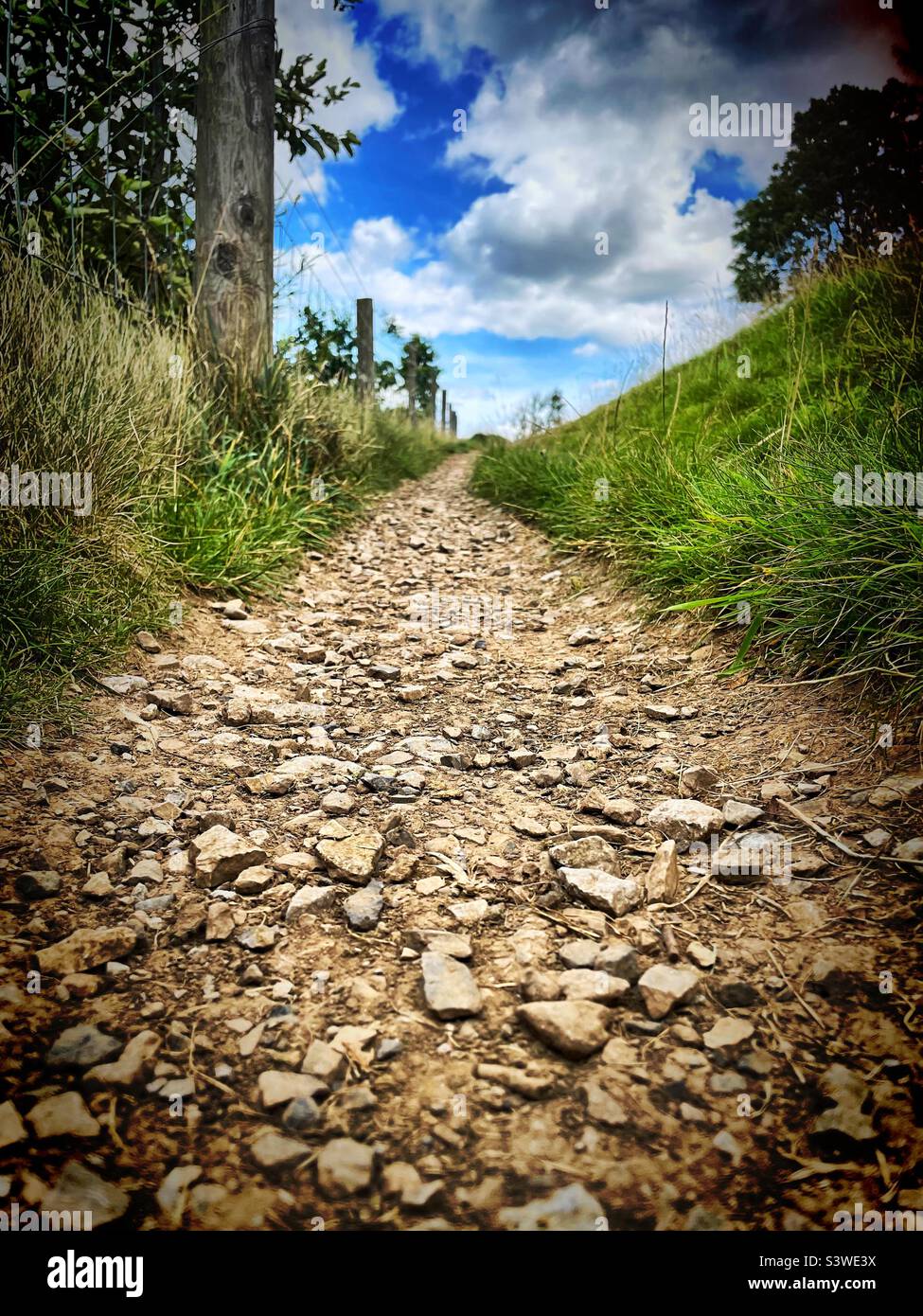 Follow which path hi-res stock photography and images - Alamy