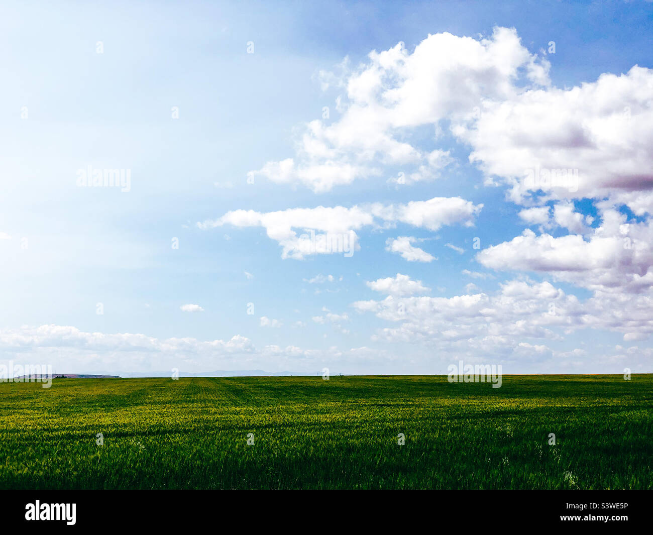 Bright sunny day, light breeze blowing the clouds away over a field of ...