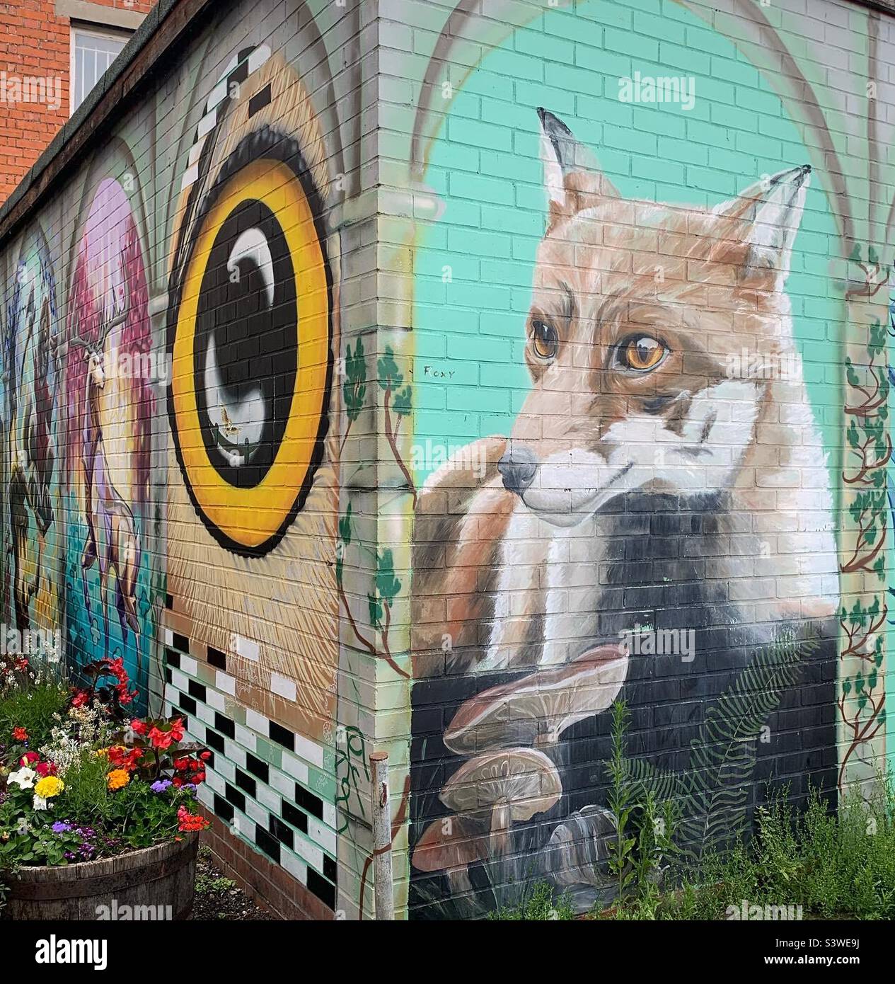 Fox Stencil Graffiti