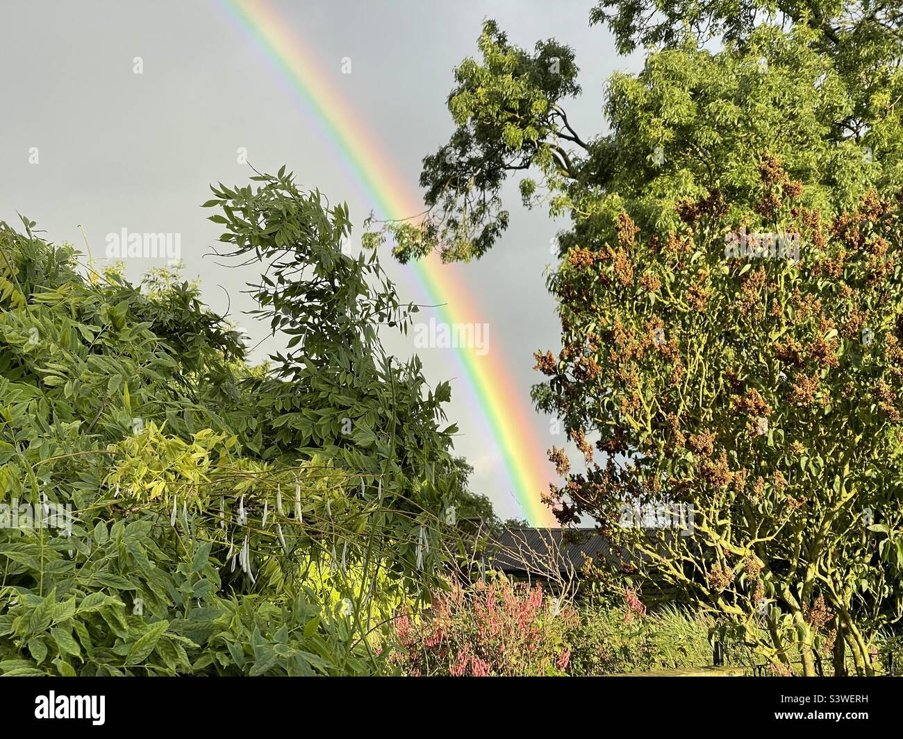 Vivid rainbow hi-res stock photography and images - Alamy