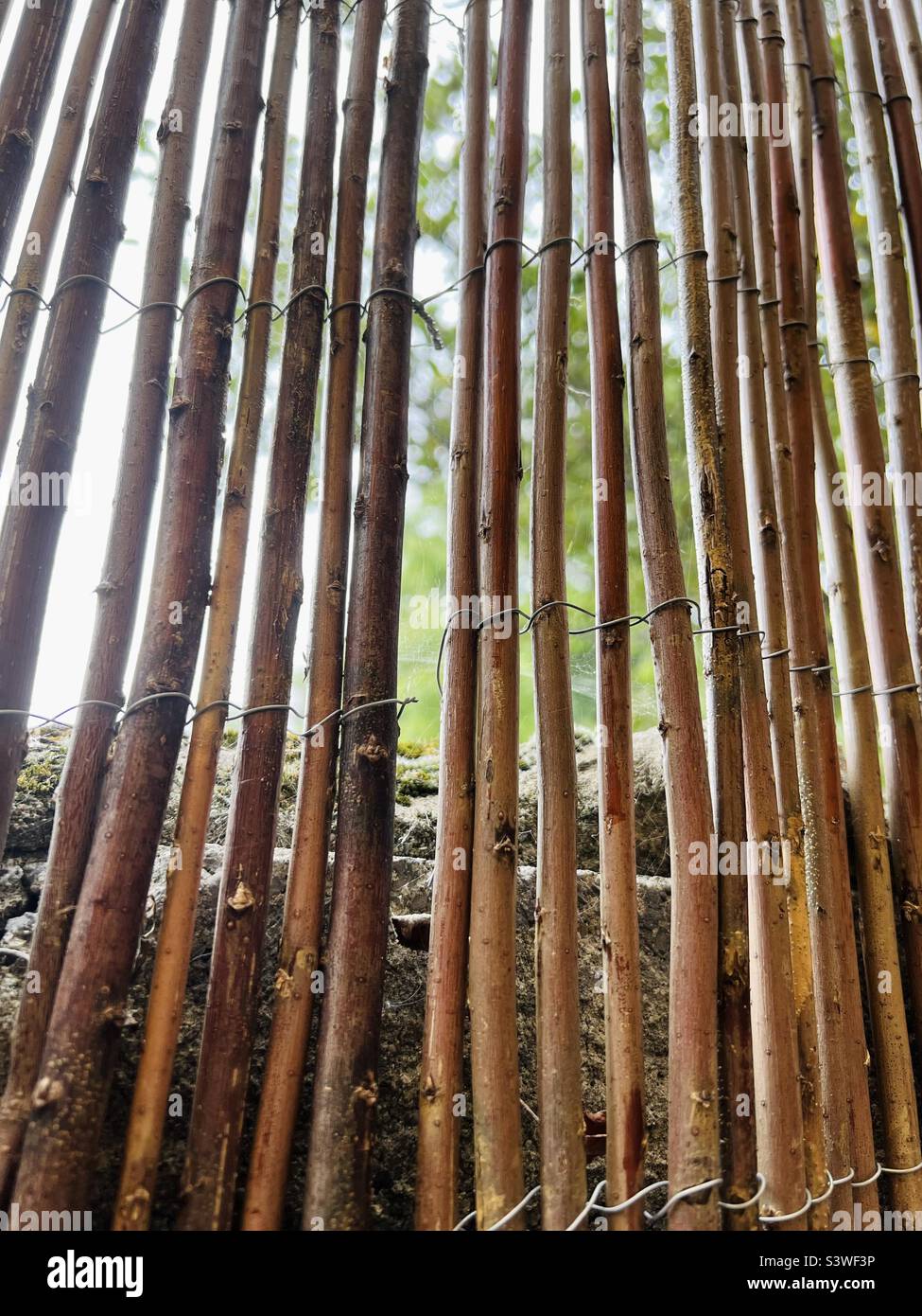 Fence aesthetic hi-res stock photography and images - Alamy