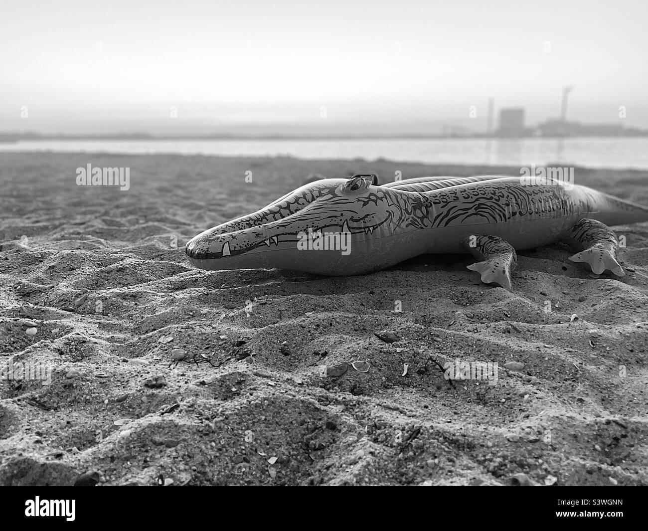 Rubber crocodile on the beach hi-res stock photography and images - Alamy