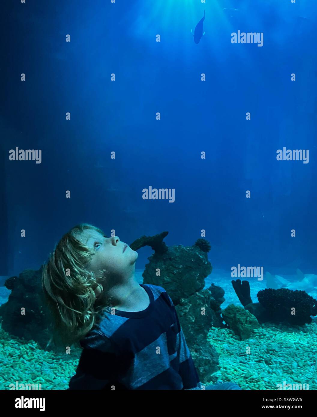 Deep creatures hi-res stock photography and images - Alamy