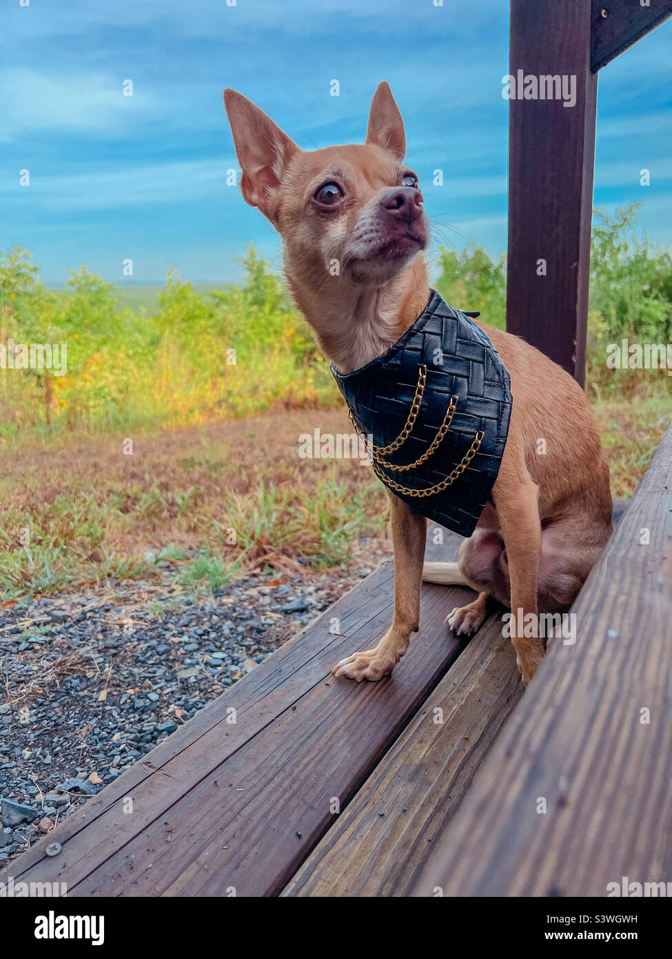 Stylish view hi-res stock photography and images - Alamy