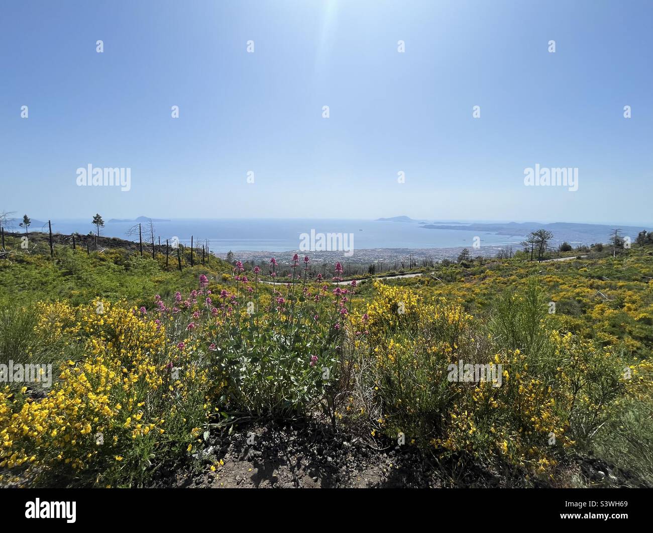 From vesuvius hi-res stock photography and images - Alamy