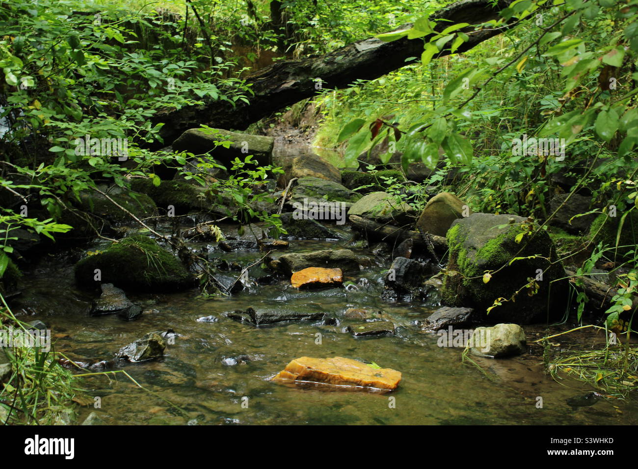 Trickling brook hi-res stock photography and images - Alamy