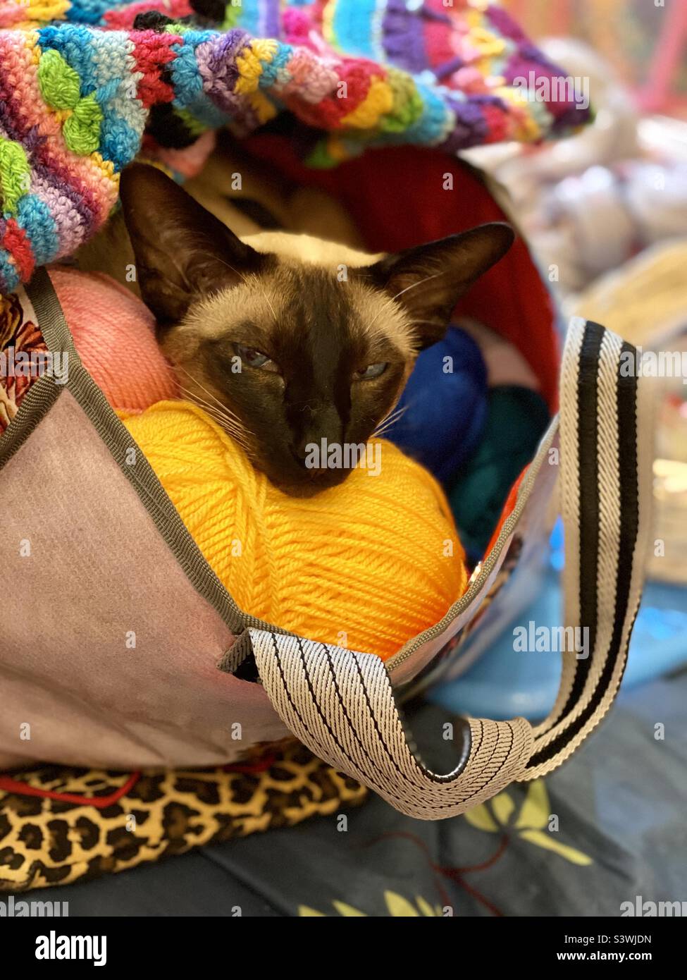 Bag of wool hi-res stock photography and images - Alamy