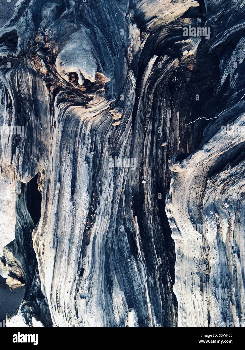 Deep dark wood hi-res stock photography and images - Alamy