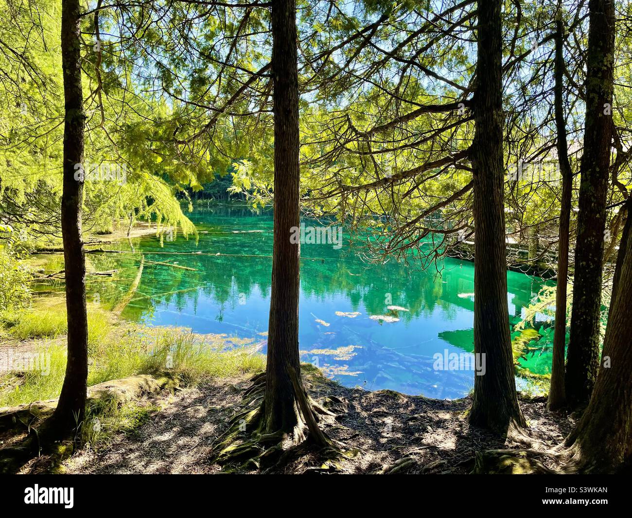 Big spring hi-res stock photography and images - Alamy