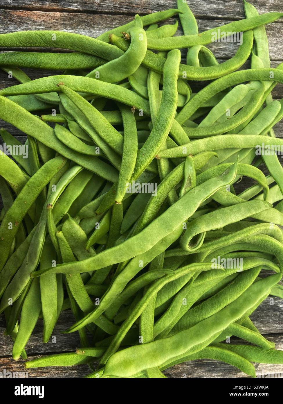 Lots of beans hi-res stock photography and images - Alamy