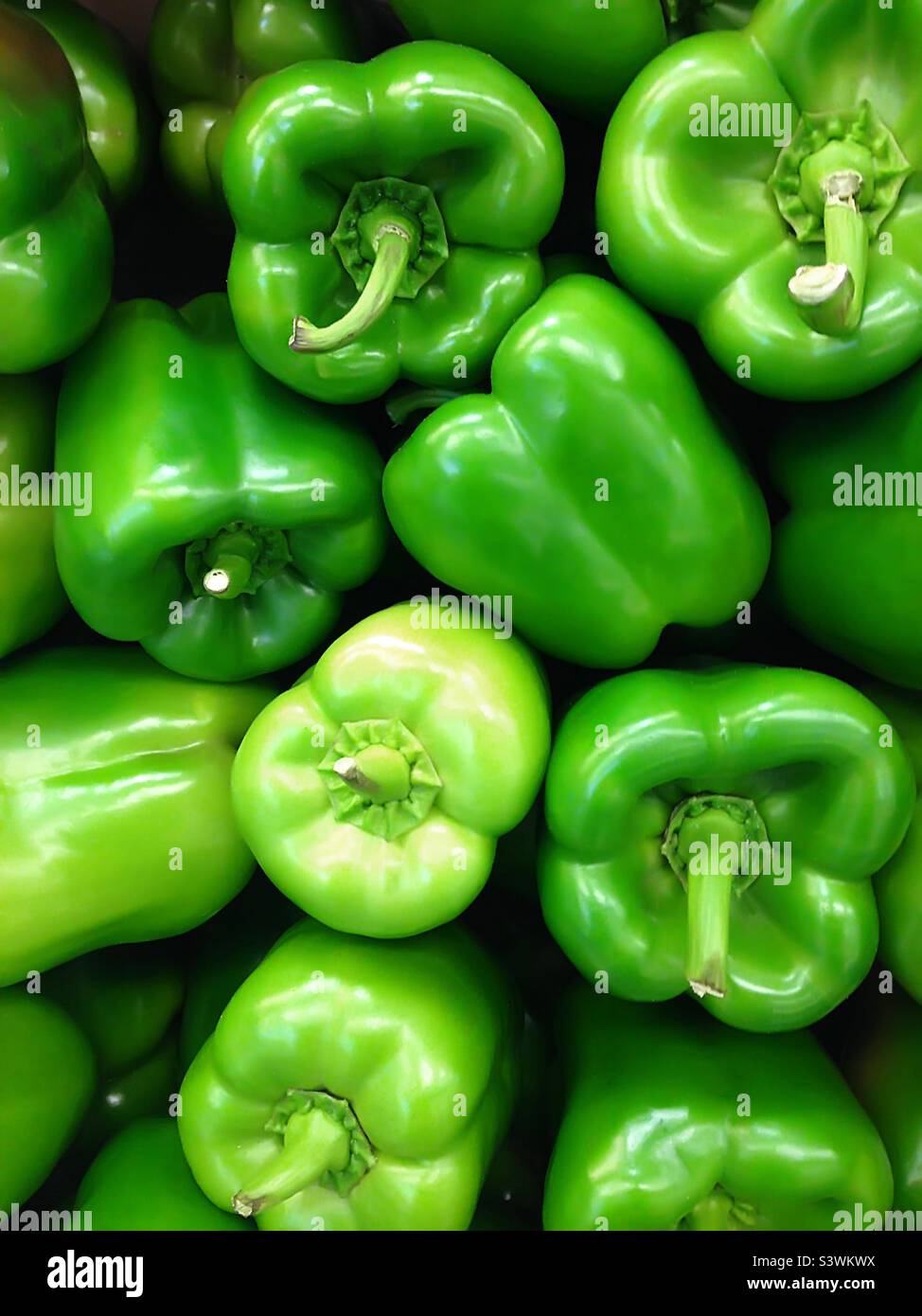 Many green sweet peppers hi-res stock photography and images - Alamy