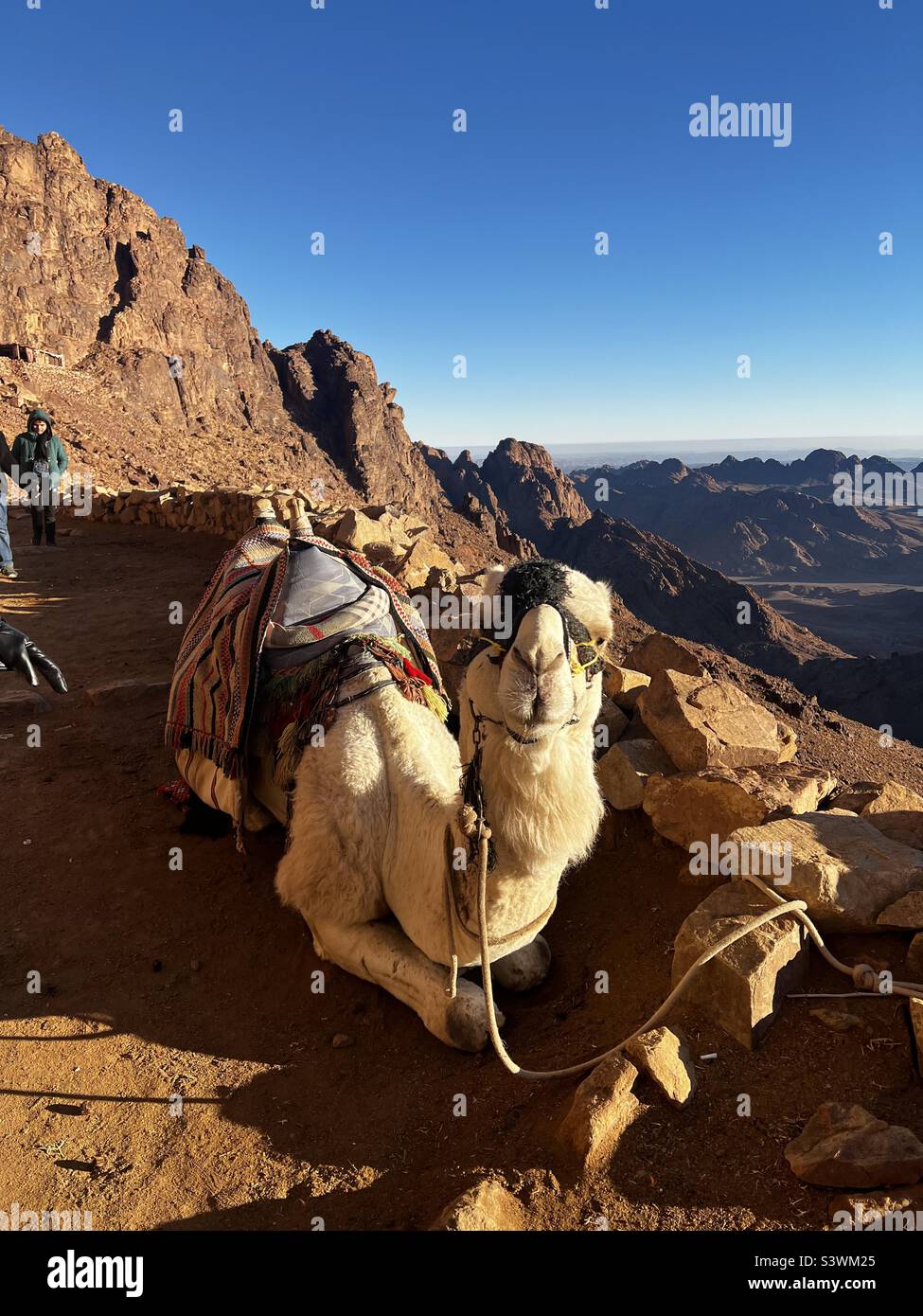 Hiking egypt hi-res stock photography and images - Alamy