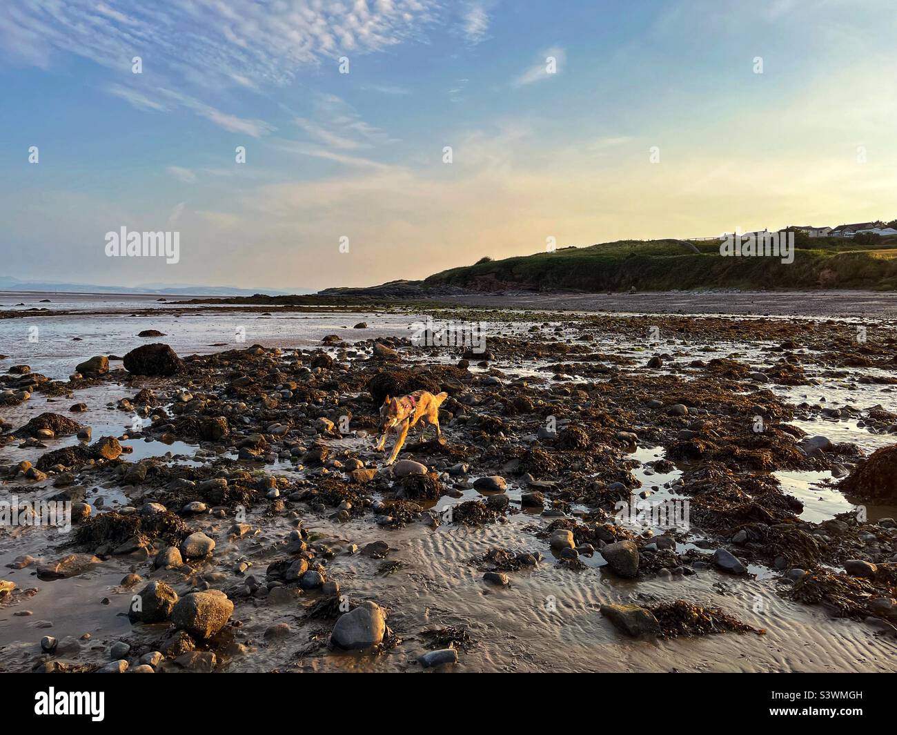 Heysham bay hi-res stock photography and images - Alamy