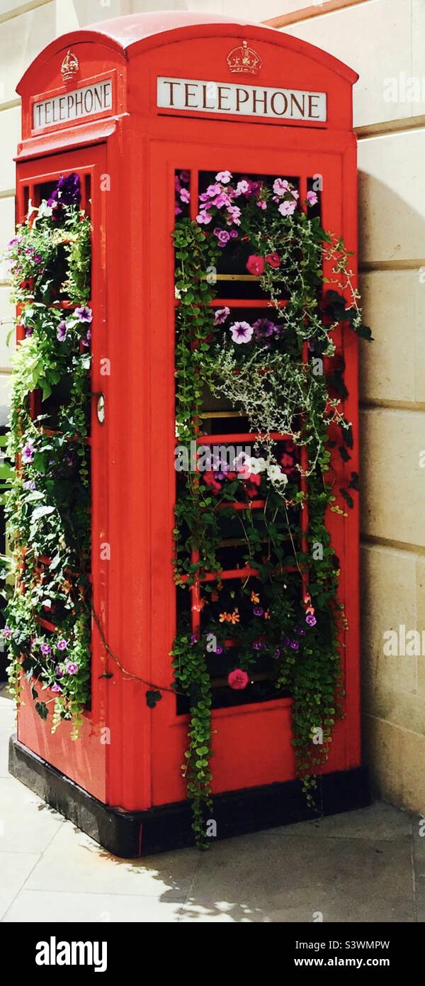 Red telephone box filled with flowers Stock Photo - Alamy