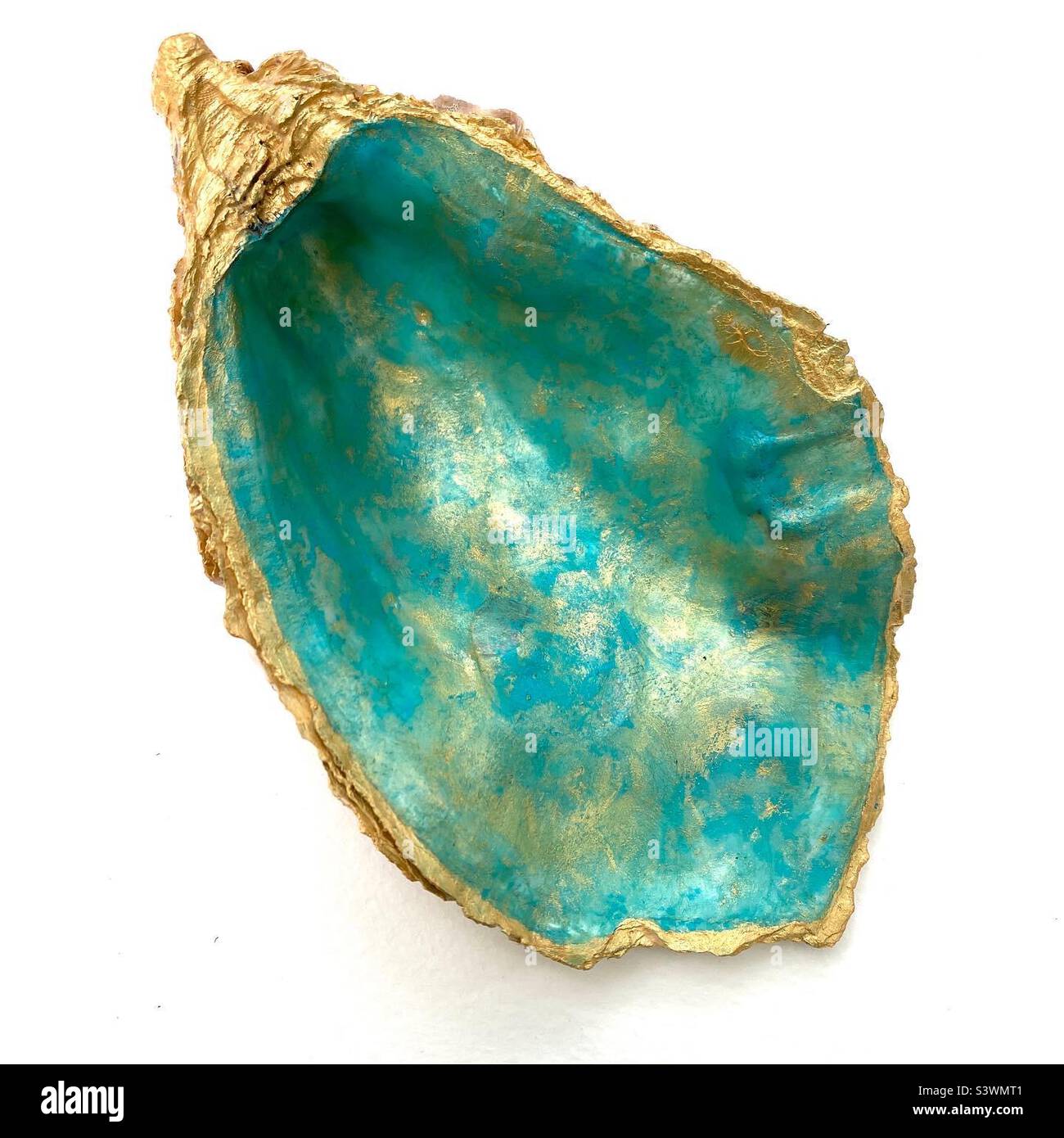 Painted Oyster shell Stock Photo - Alamy
