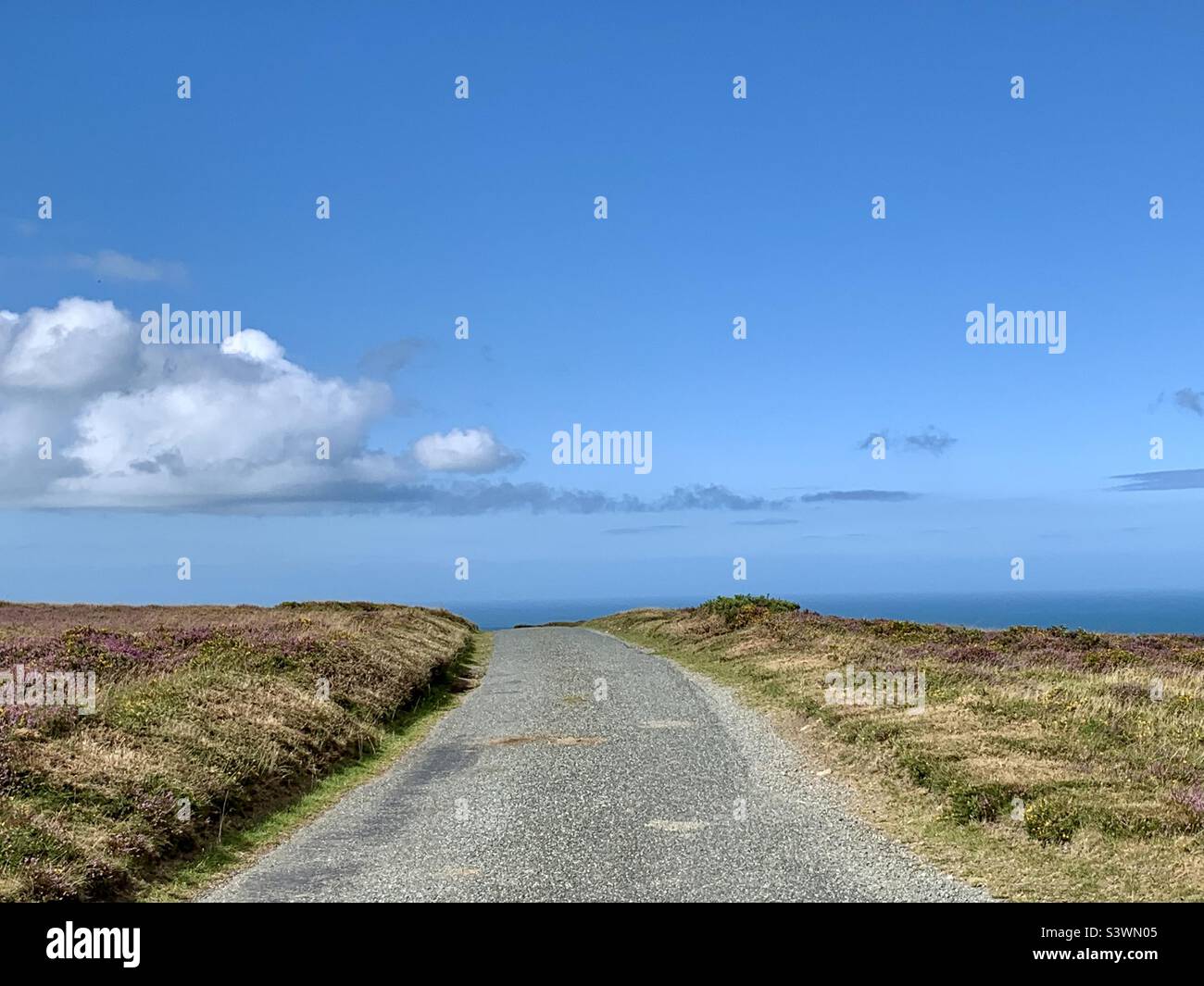 Road to nowhere. Country road leading into the blue sky horizon ...