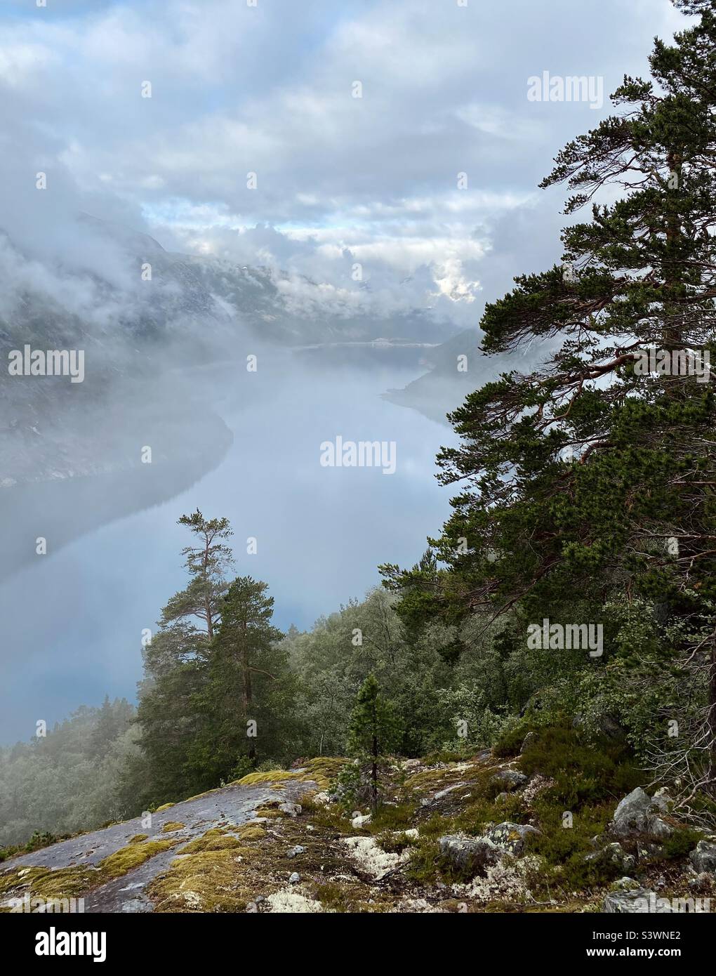 Nature in Norway Stock Photo - Alamy
