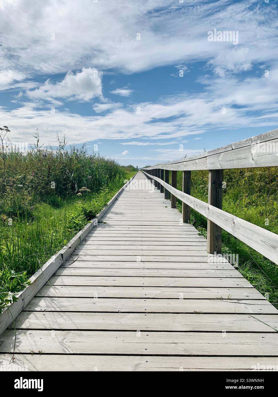 Wooden pathway with diminishing perspective outdoors in summer ...