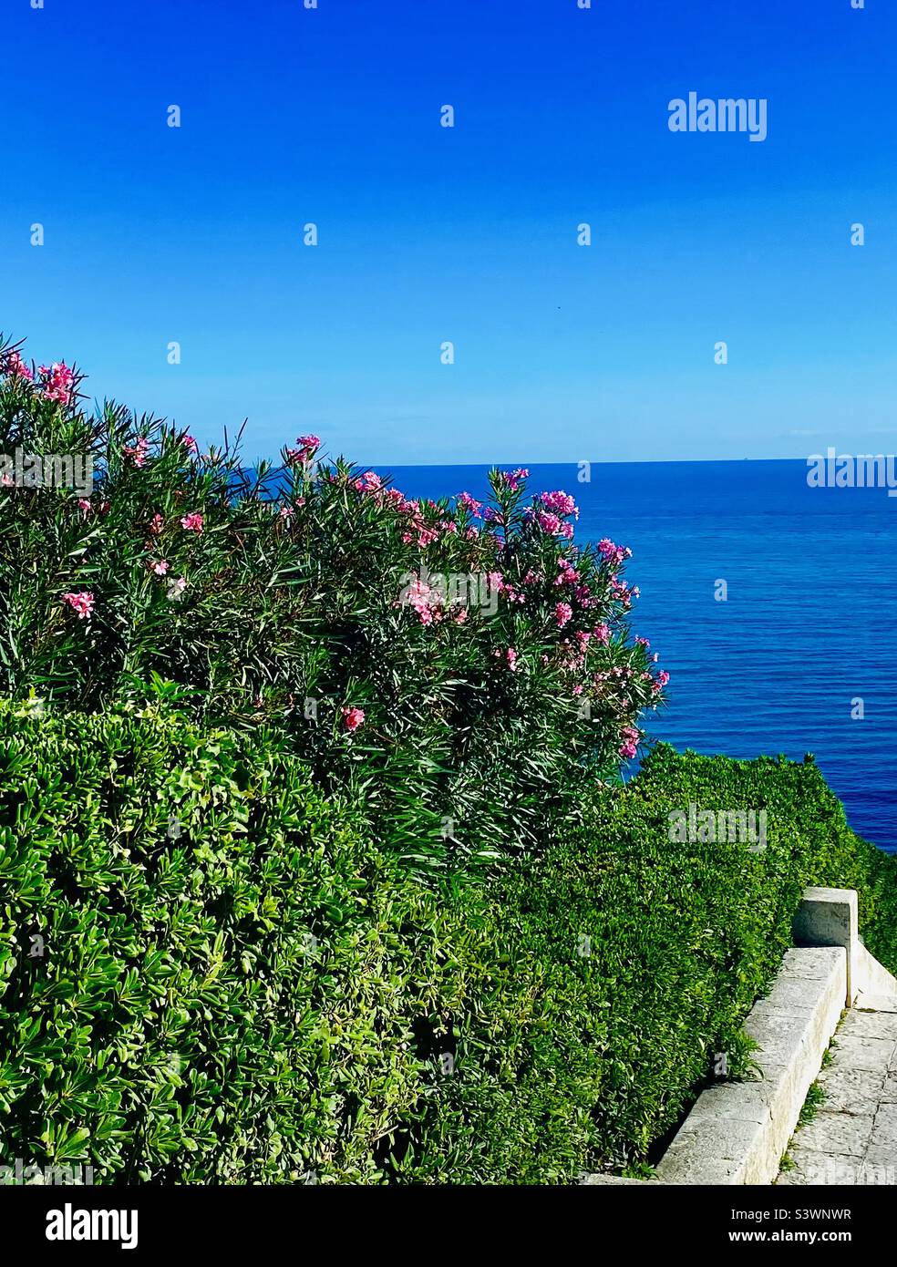 Authia hi-res stock photography and images - Alamy