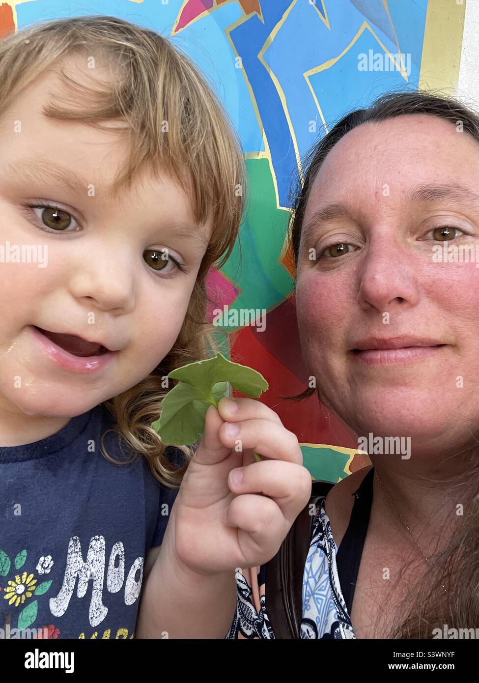 Baby ginkgo leaf hi-res stock photography and images - Alamy