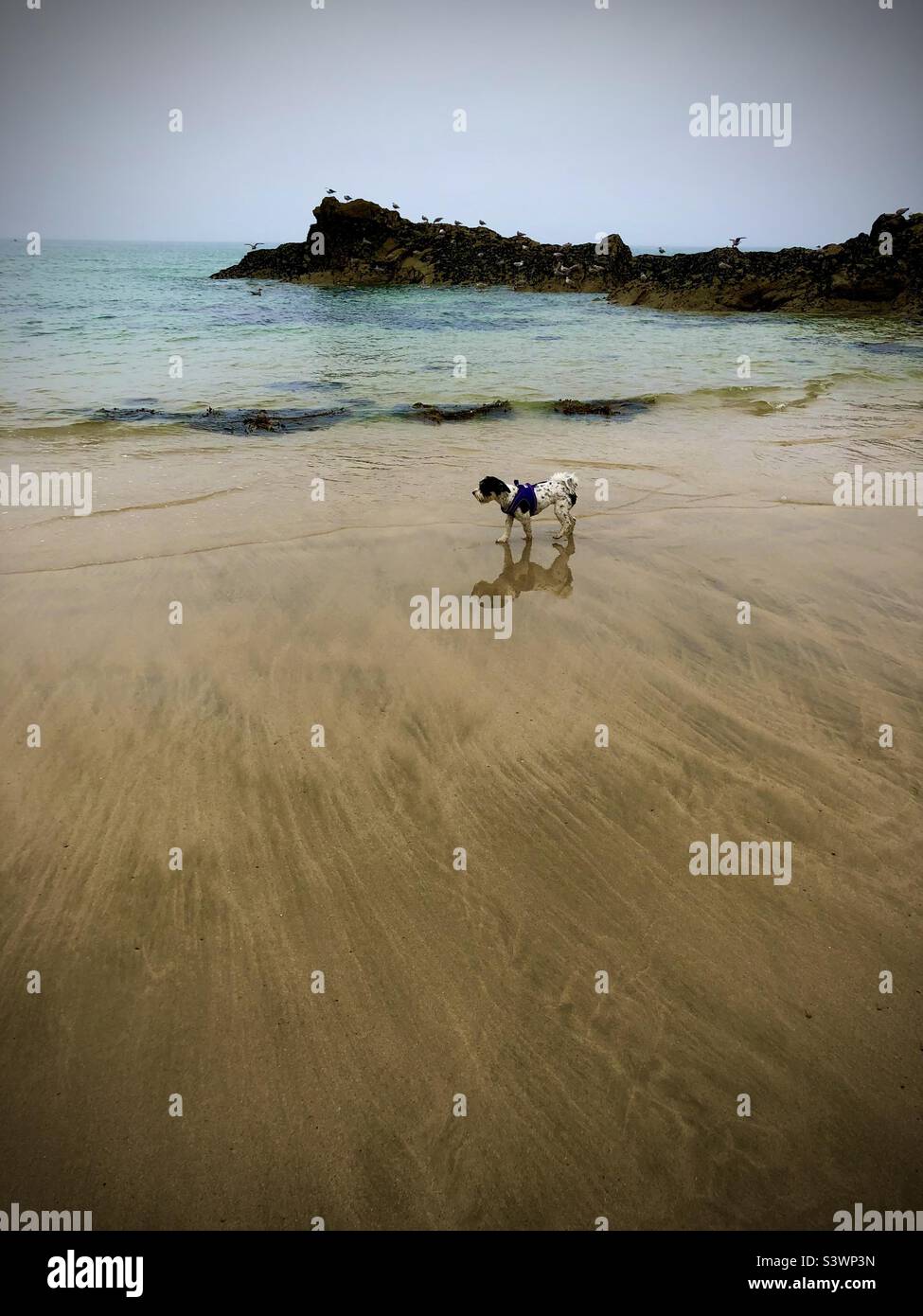 Rainy weather beach hi-res stock photography and images - Alamy