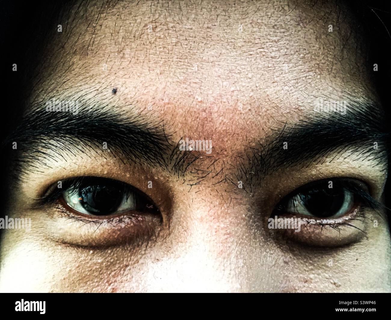 Eye color hi-res stock photography and images - Alamy