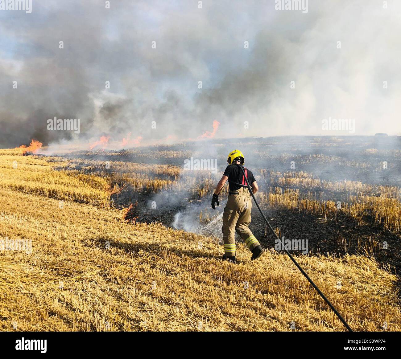 Fighting the heat wave Stock Photo - Alamy