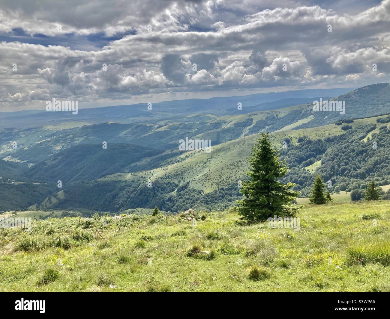 Golija mountain hi-res stock photography and images - Alamy