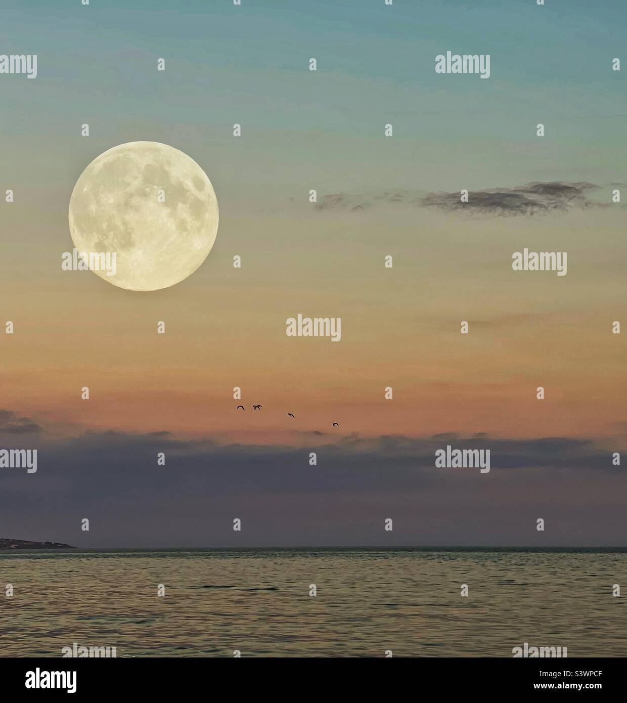 Full moon sea hi-res stock photography and images - Alamy