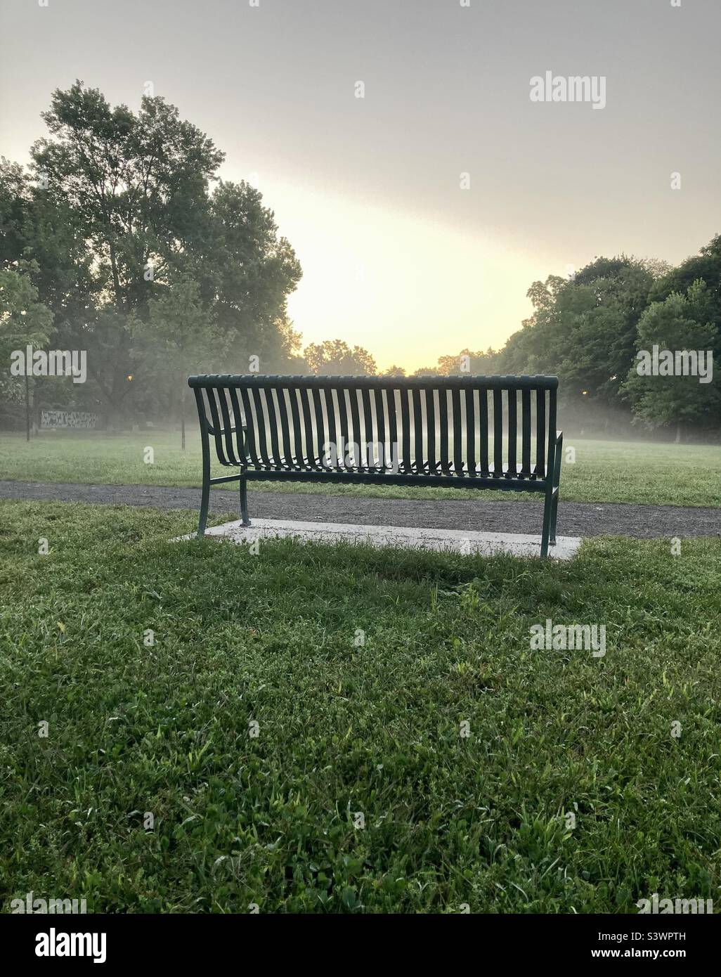 Morning haze over Central Park bench Stock Photo - Alamy