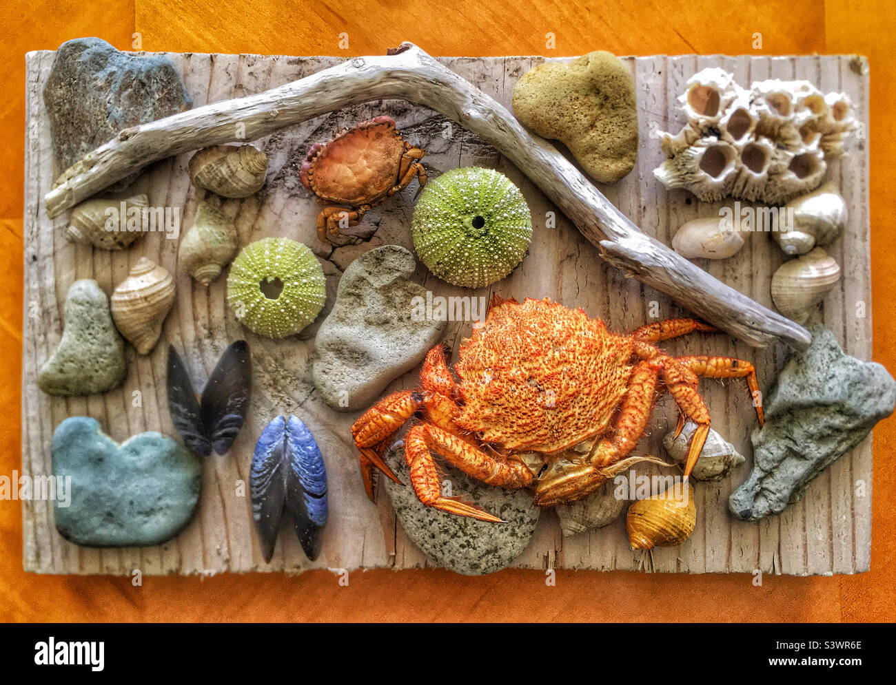 Food products shelves hi-res stock photography and images - Alamy