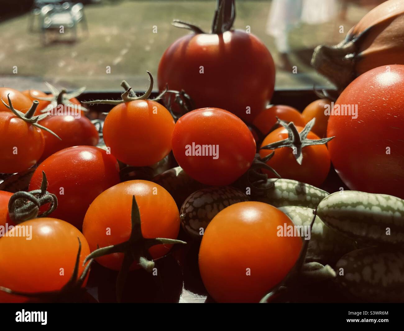 Home grown tomatos hi-res stock photography and images - Alamy