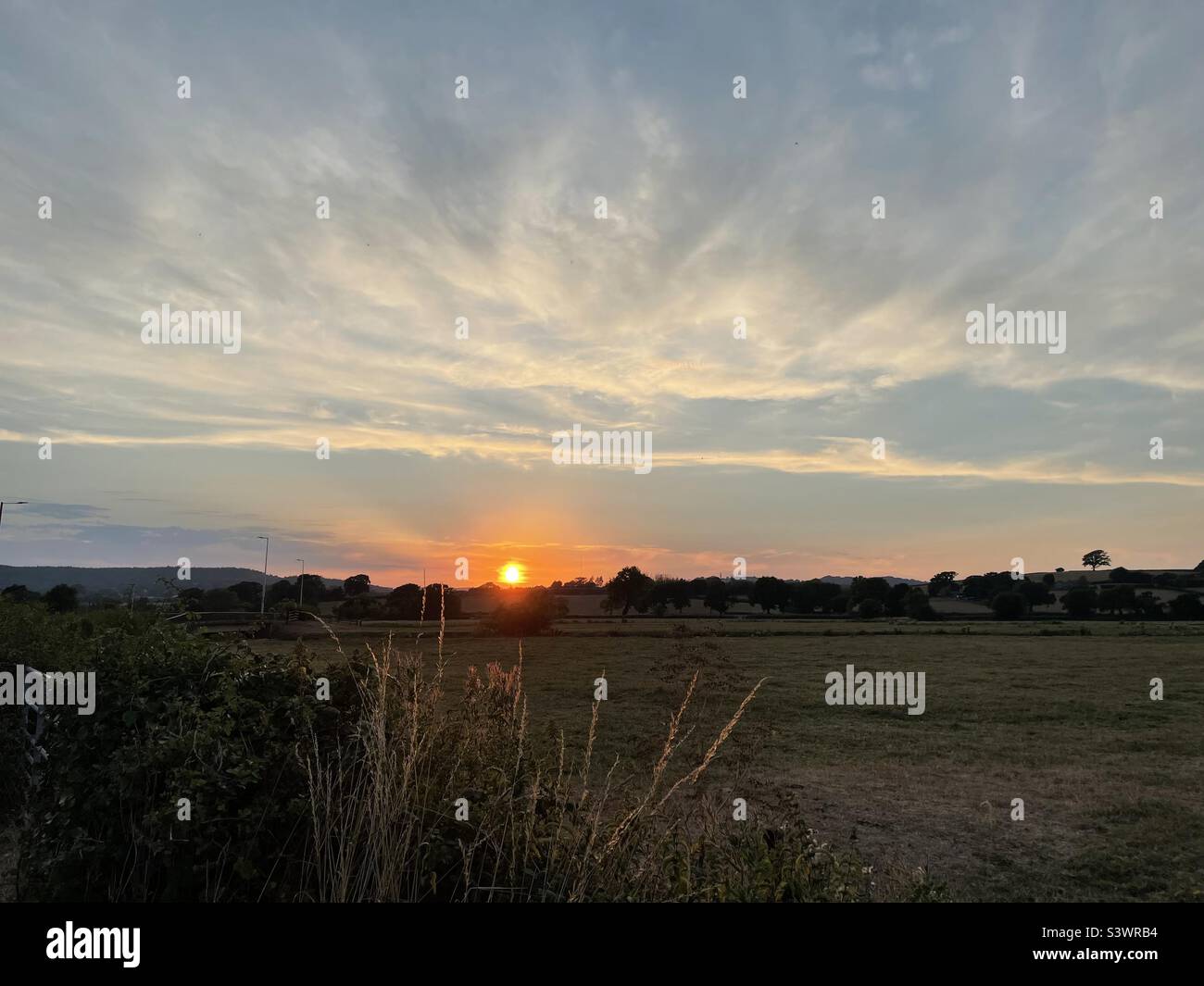 Devon summer fields hi-res stock photography and images - Alamy