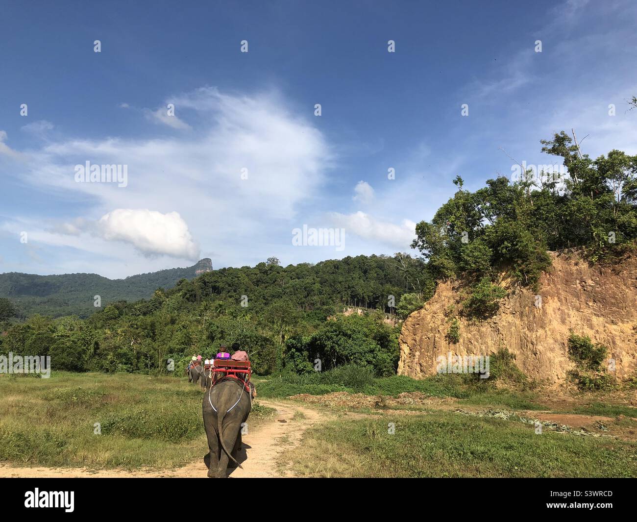 Elephant riding cruelty hi-res stock photography and images - Alamy