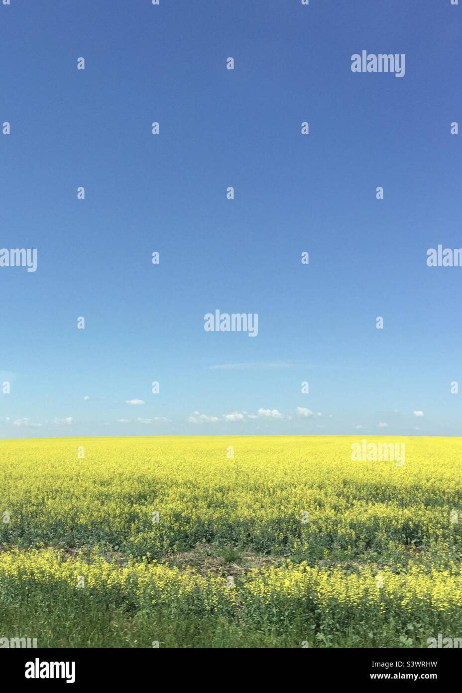 Saskatchewan prairie hi-res stock photography and images - Alamy