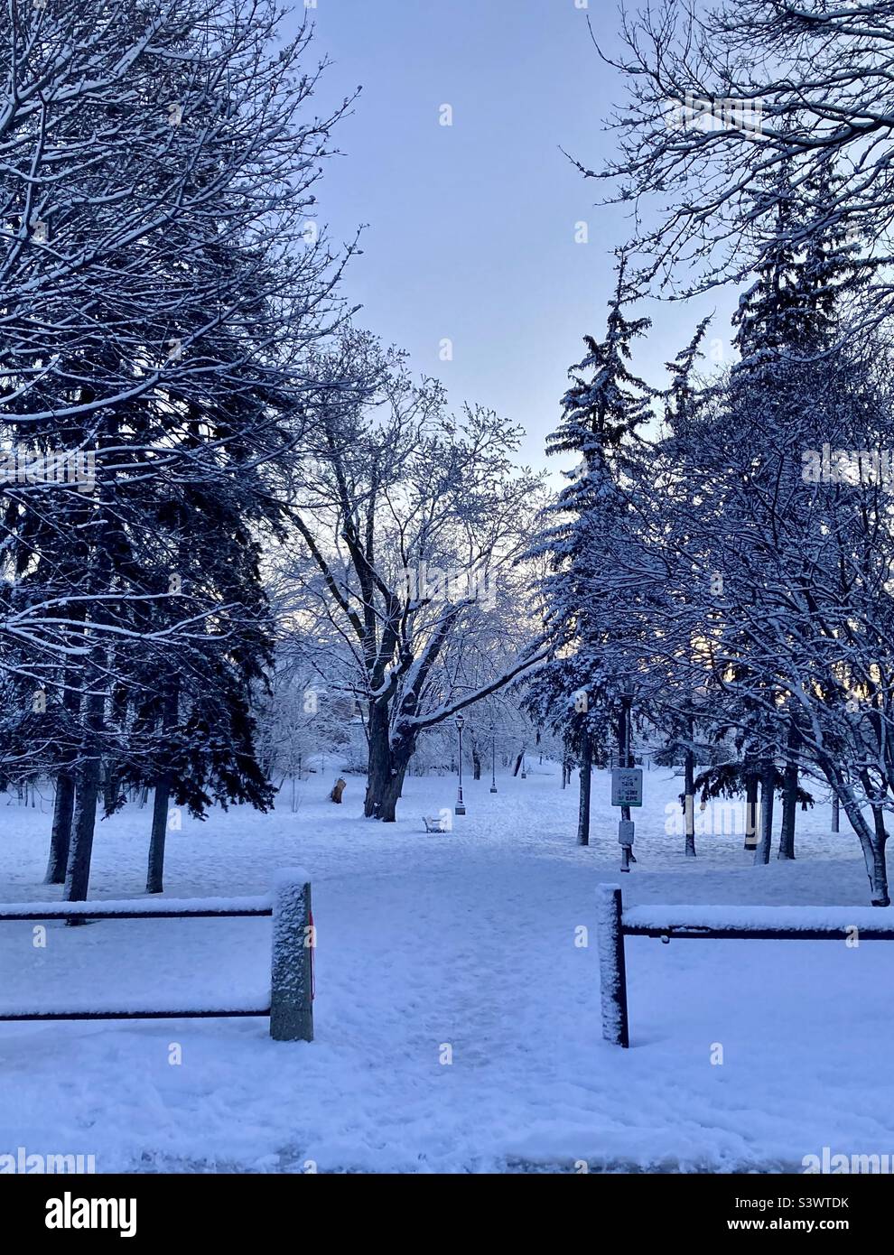 Winter is coming. Early morning winter scene at the dog park Stock ...