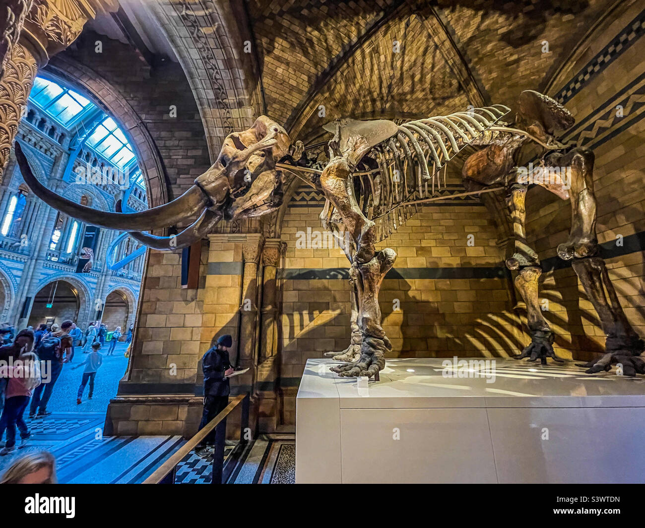 Natural History Museum, London Stock Photo - Alamy