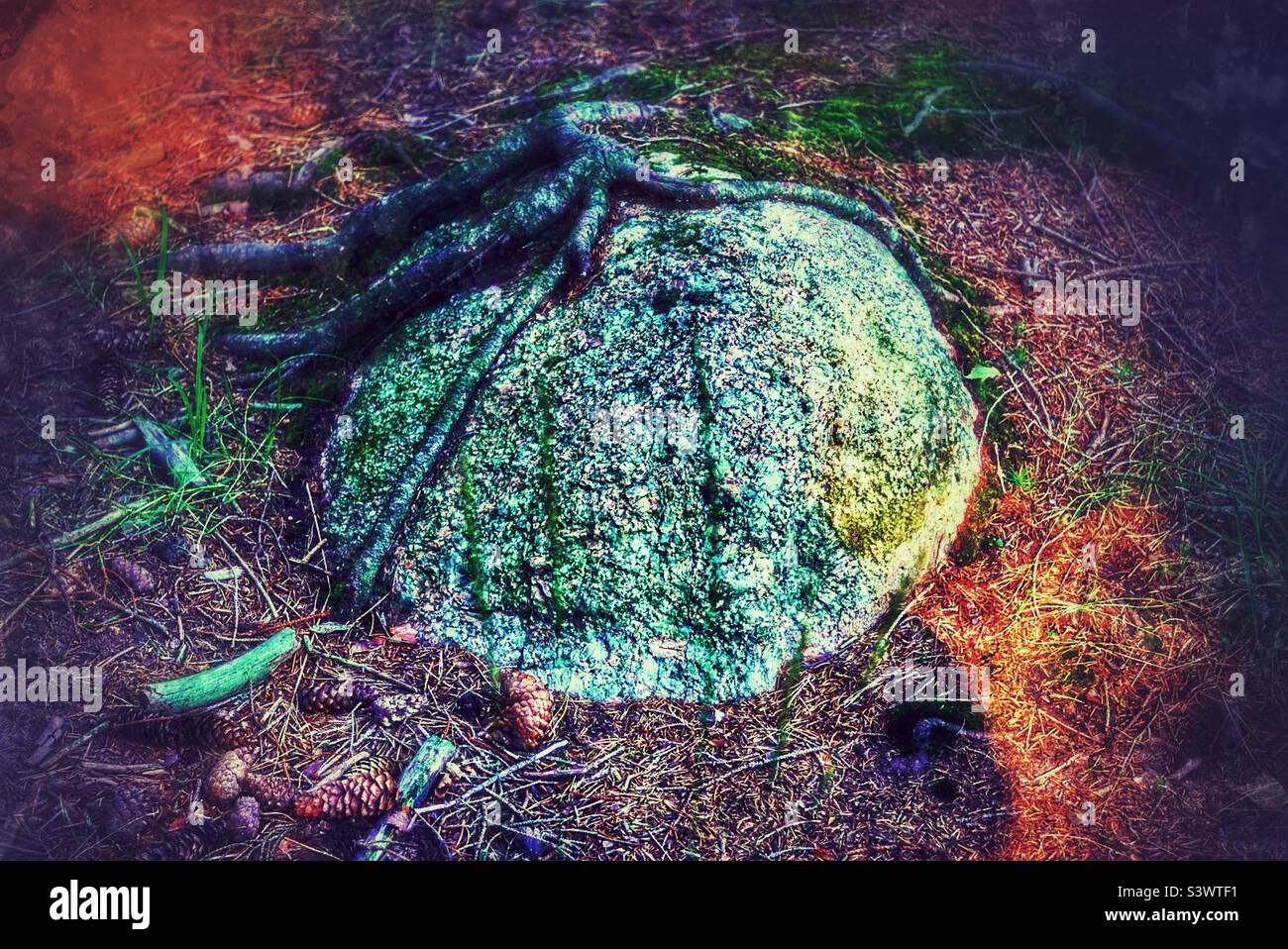 Root and earth hi-res stock photography and images - Alamy