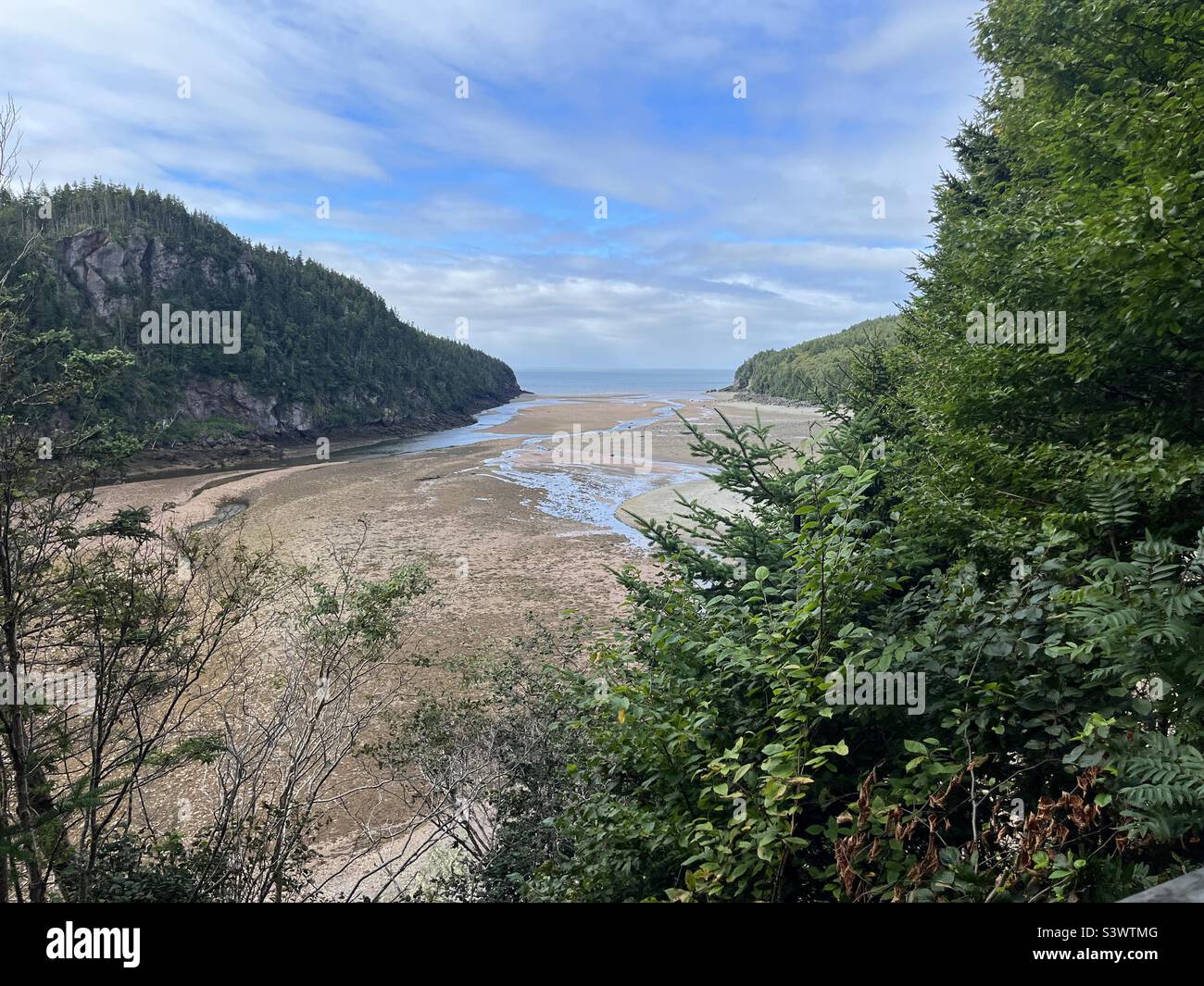 Bay of fundy national park hi-res stock photography and images - Alamy