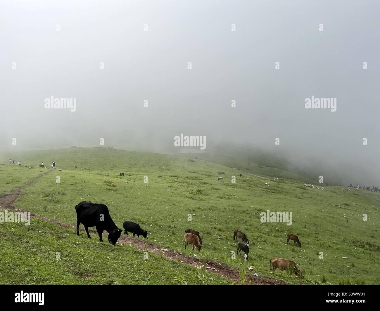 Nature nurturing hi-res stock photography and images - Alamy