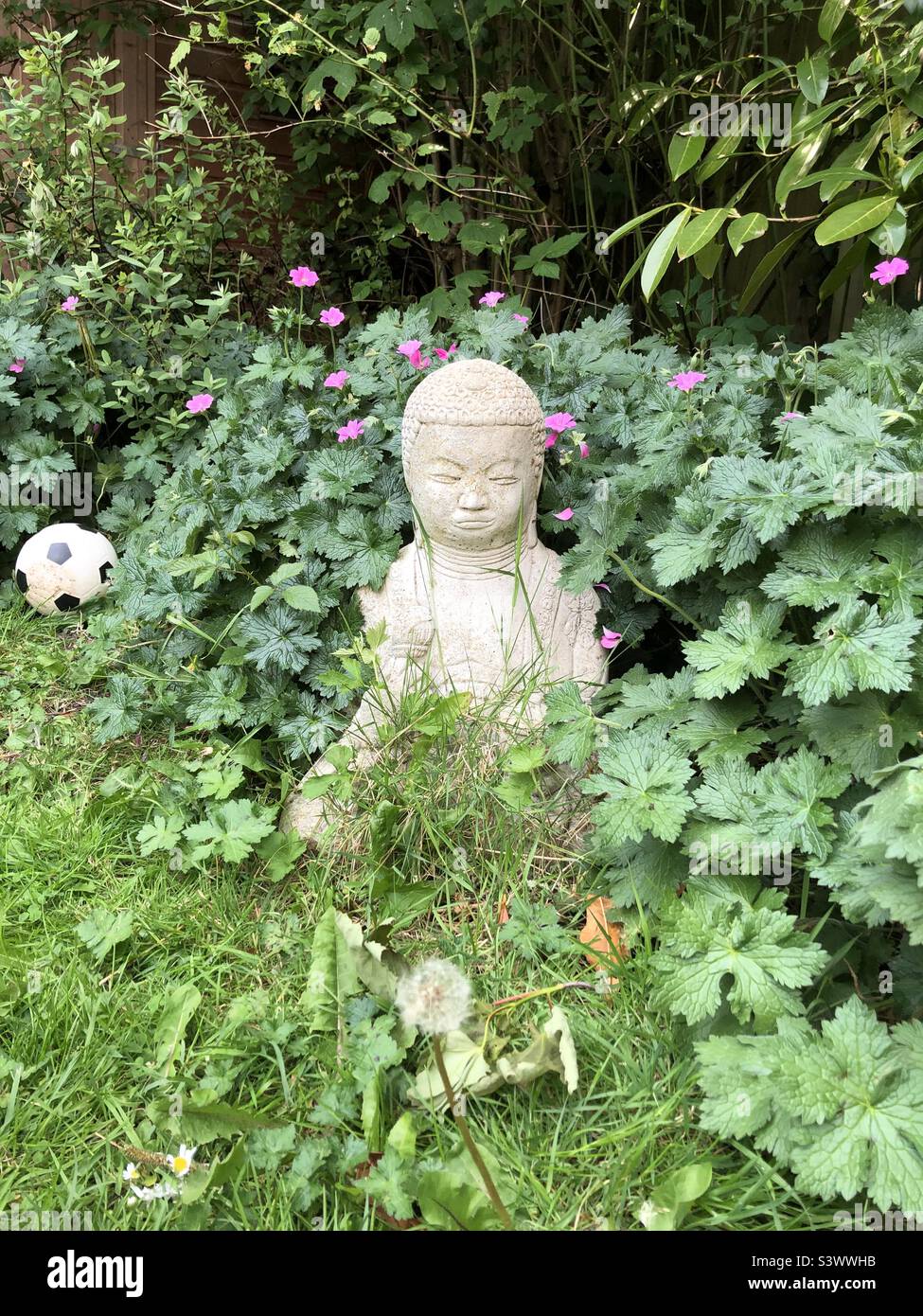 Hidden treasures hi-res stock photography and images - Alamy