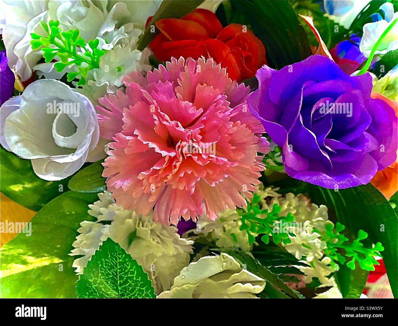 Three colored flowers hi-res stock photography and images - Alamy