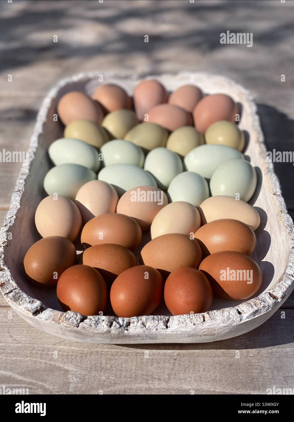 Green eggs hi-res stock photography and images - Alamy
